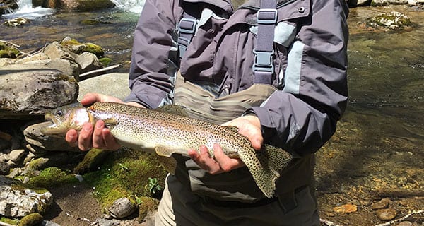 Floating High | Coastal Angler & The Angler Magazine