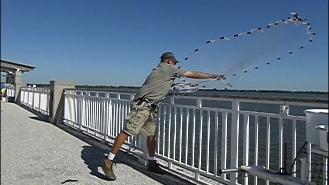 Cast Netting for Bait - Coastal Angler & The Angler Magazine Cast Netting for Bait - Coastal Angler & The Angler Magazine