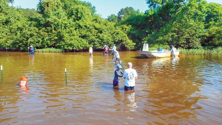 Vegetation Enhancement On Lake Gaston Continues - Coastal Angler & The ...