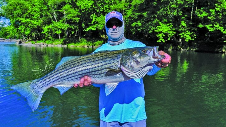 Reeling in with Ryan - Coastal Angler & The Angler Magazine