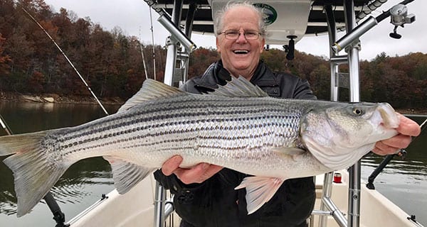 Monster Striper Fishing on Lake Hiwassee | Coastal Angler & The Angler ...