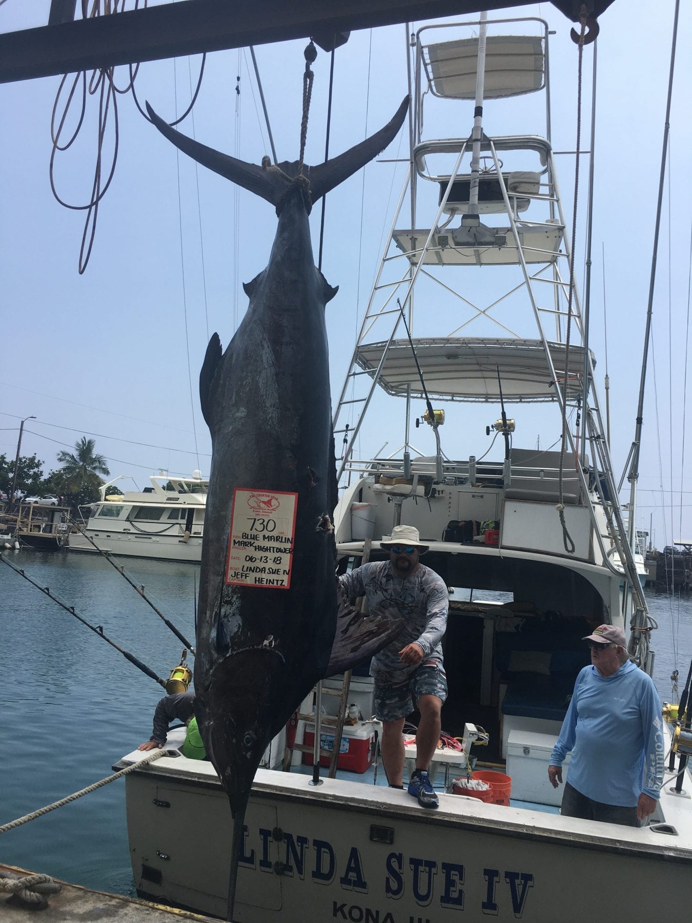 Blue Marlin - Coastal Angler & The Angler Magazine