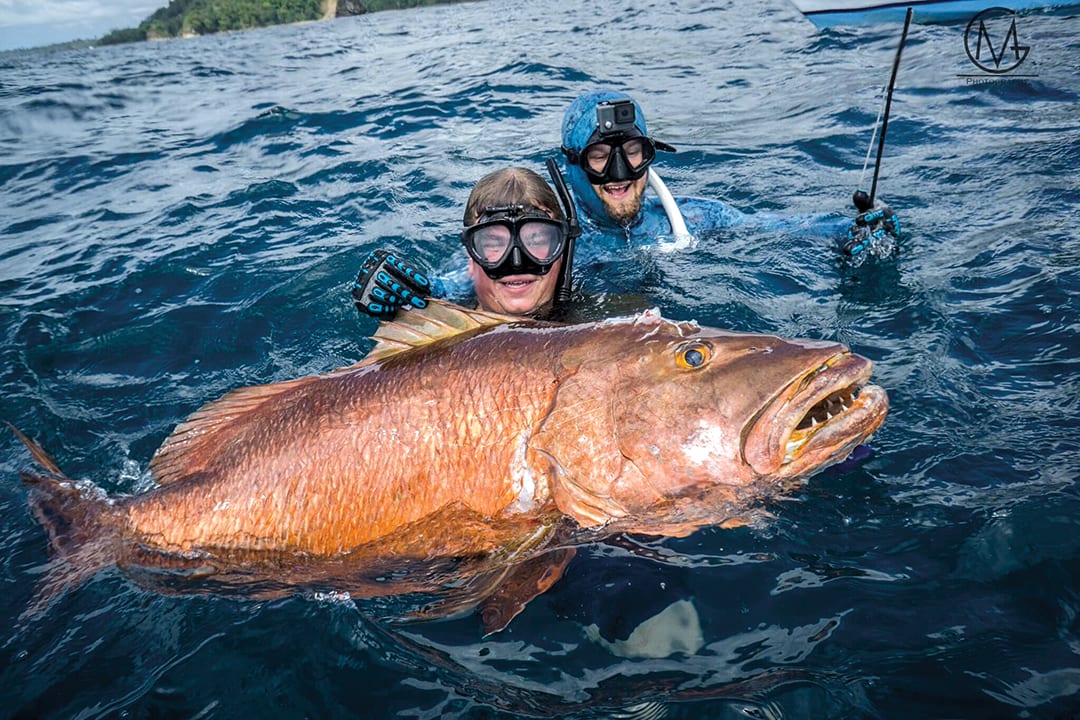 FREEDIVING • SPEARFISHING 101 – So You Want To Be A Freediver ...