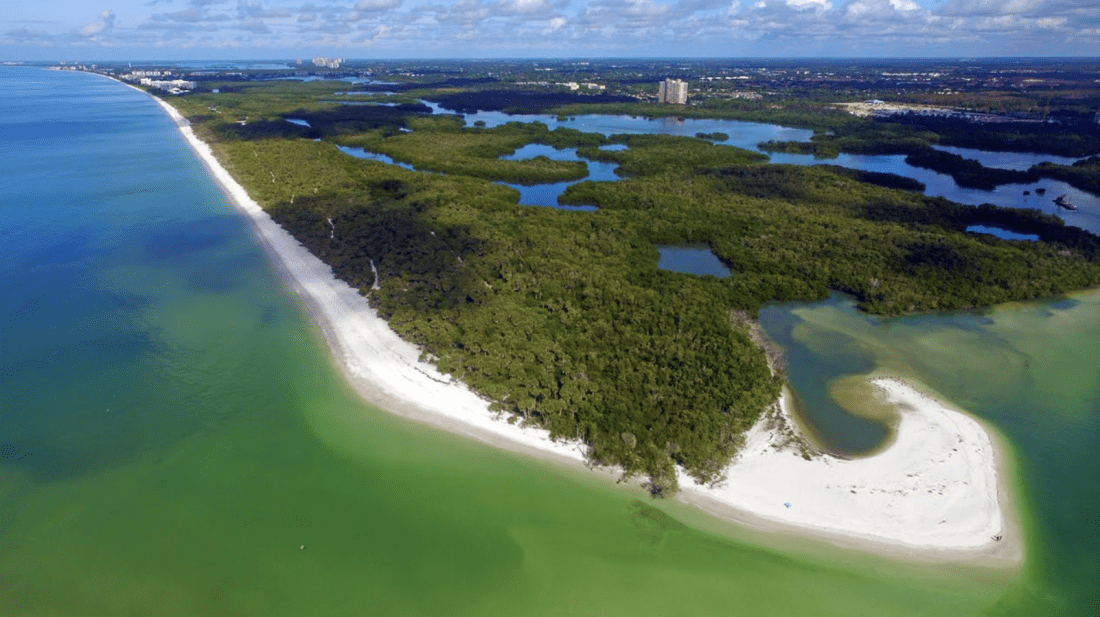 Wiggins Pass Update - Coastal Angler & The Angler Magazine