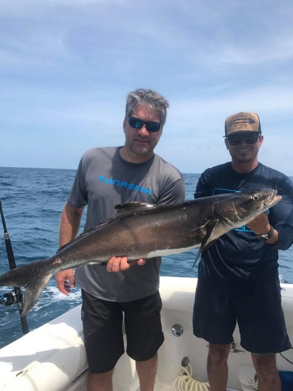 Cobia aka Ling - Coastal Angler & The Angler Magazine