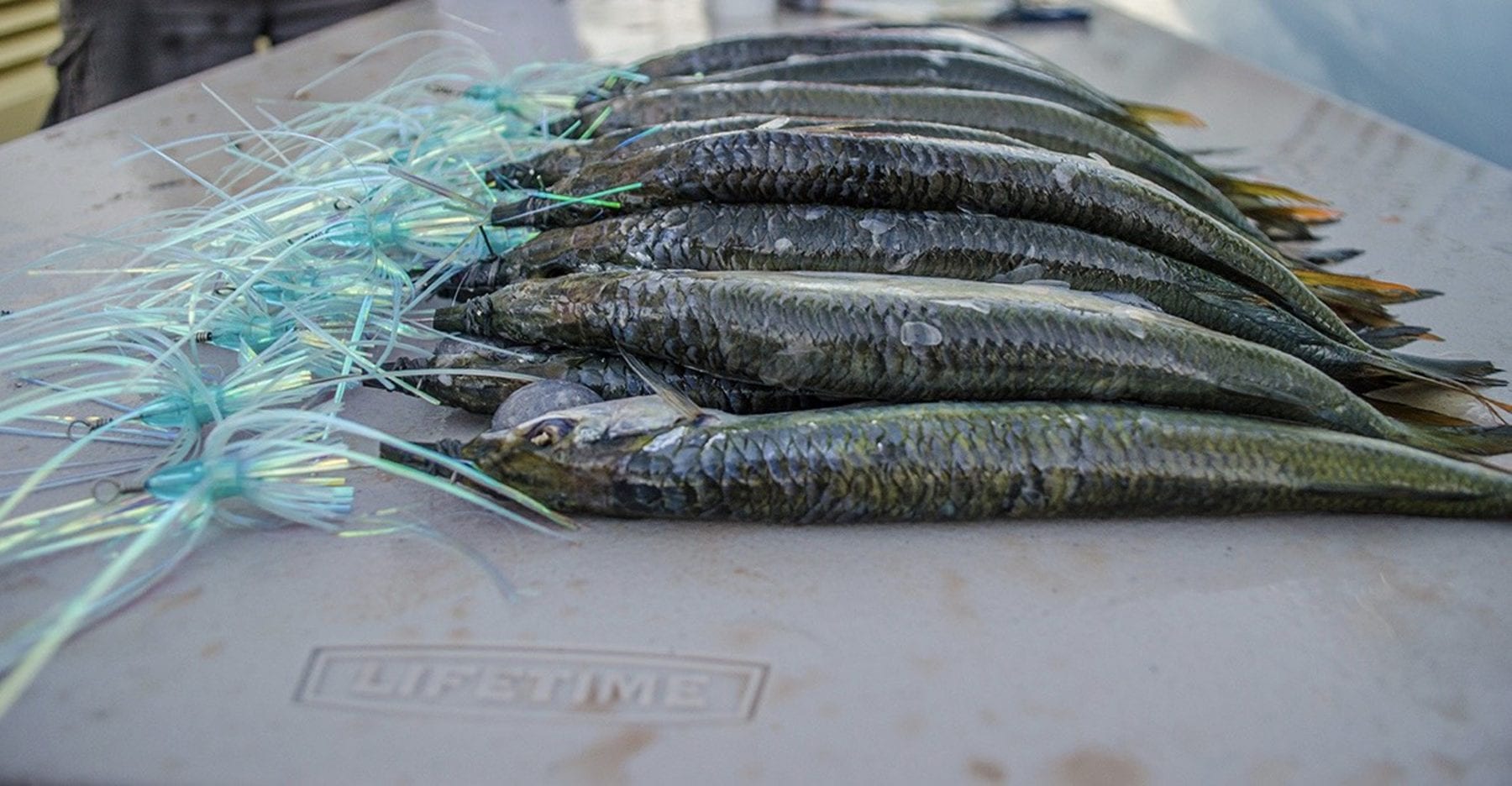 Improve Your Offshore Fishing Skills - Coastal Angler & The Angler Magazine