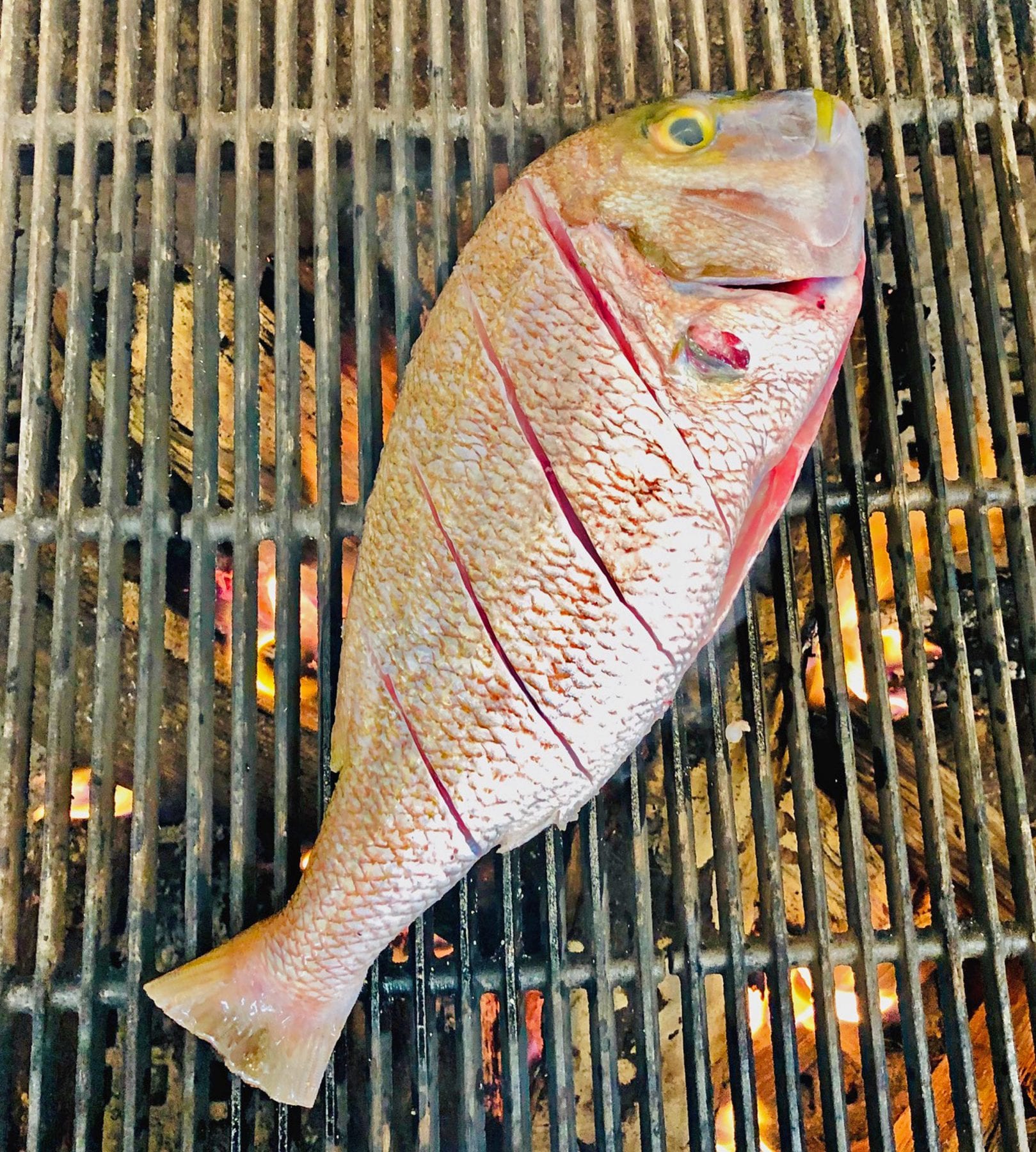 Whole Grilled Red Porgy - Coastal Angler & The Angler Magazine