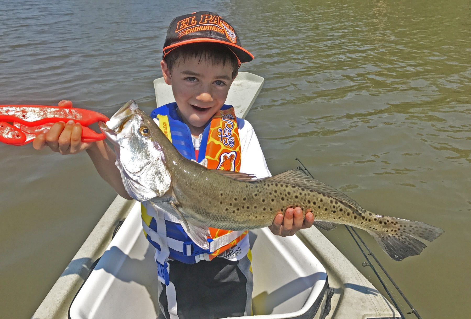 Can You Find the Spots? - Coastal Angler & The Angler Magazine