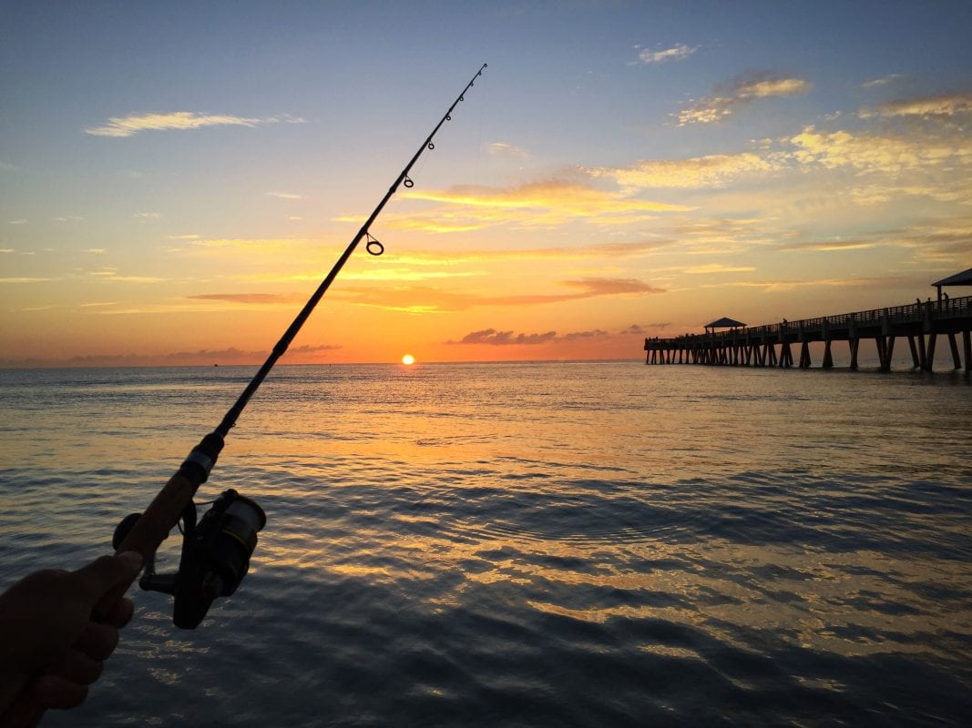 Juno Beach Pier Fishing Forecast: March 2019 - Coastal Angler & The ...