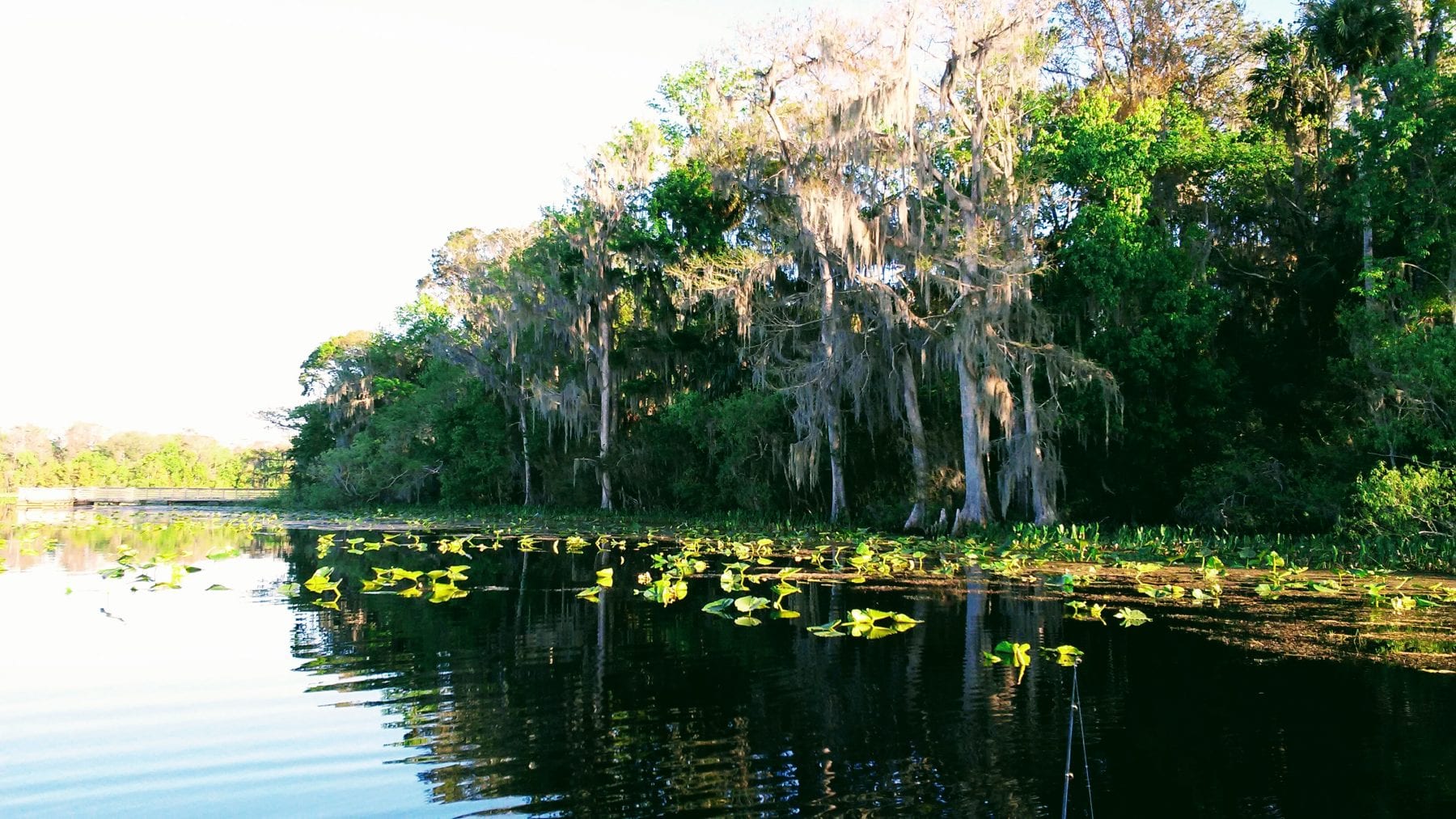 North Central Florida Inland - Coastal Angler & The Angler Magazine
