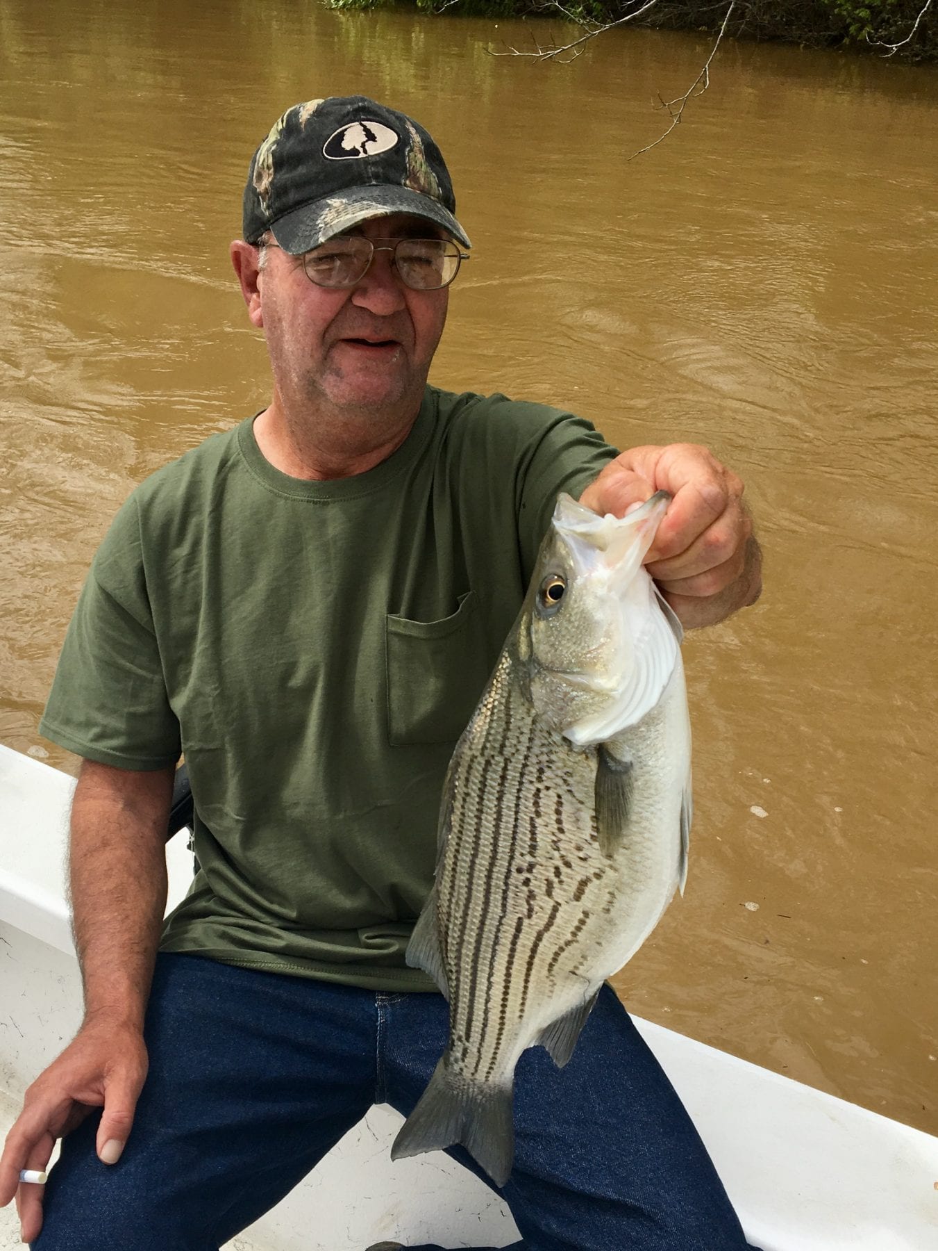 How Do Fish Decide What to Eat? - Coastal Angler & The Angler Magazine