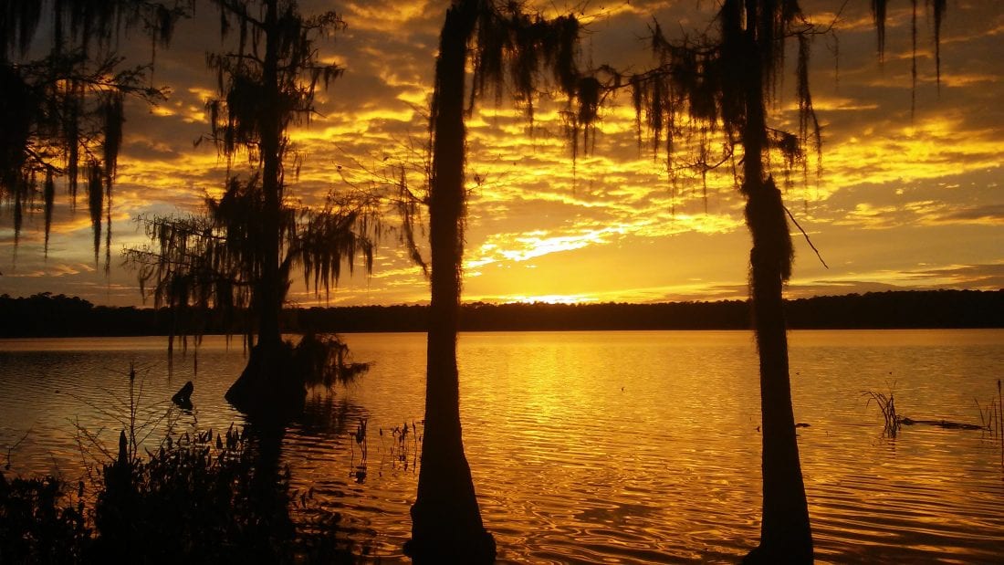 Central Florida Inland - Coastal Angler & The Angler Magazine