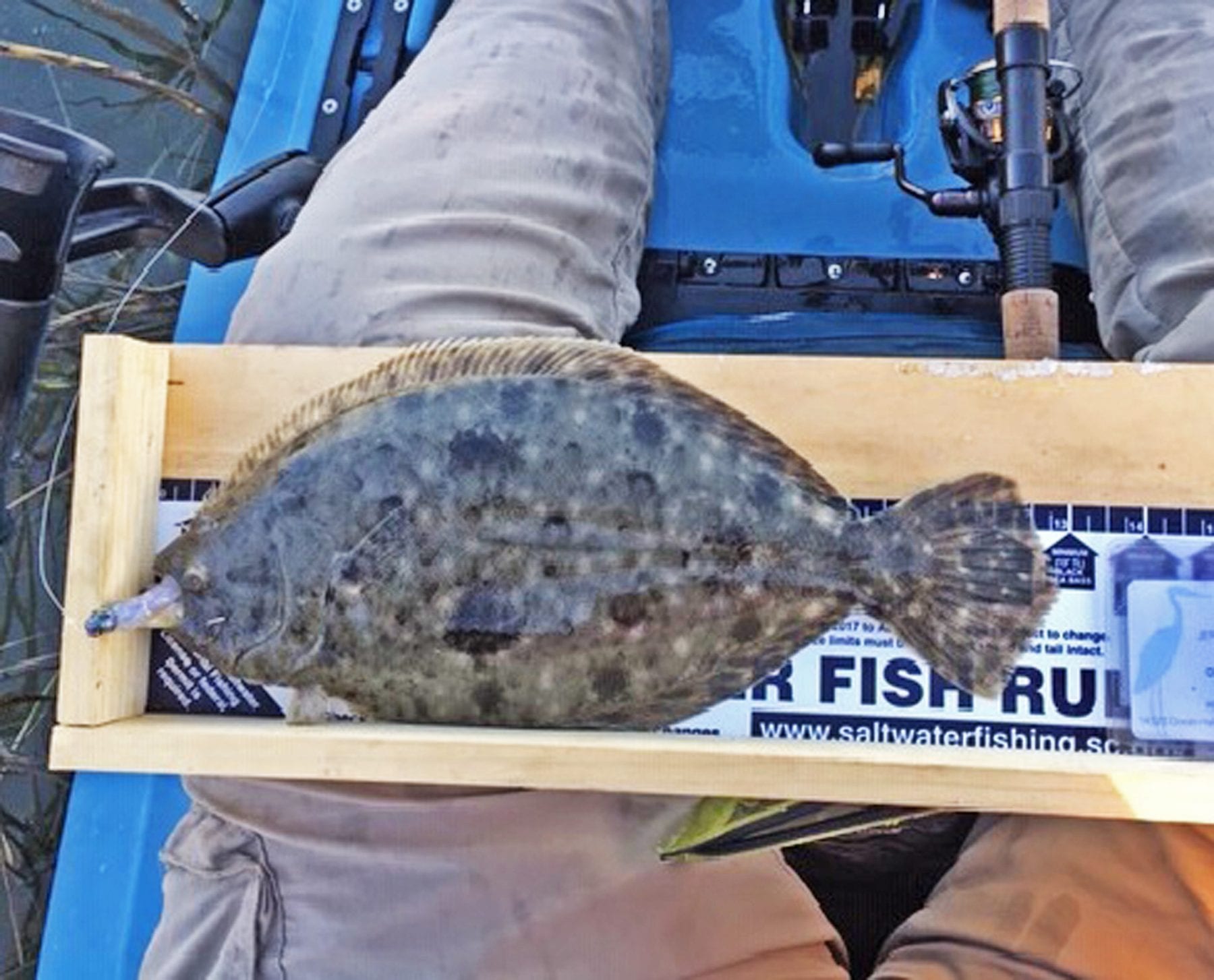 Redfish, Flounder & Trout – Tips For Catching an Inshore Slam - Coastal ...