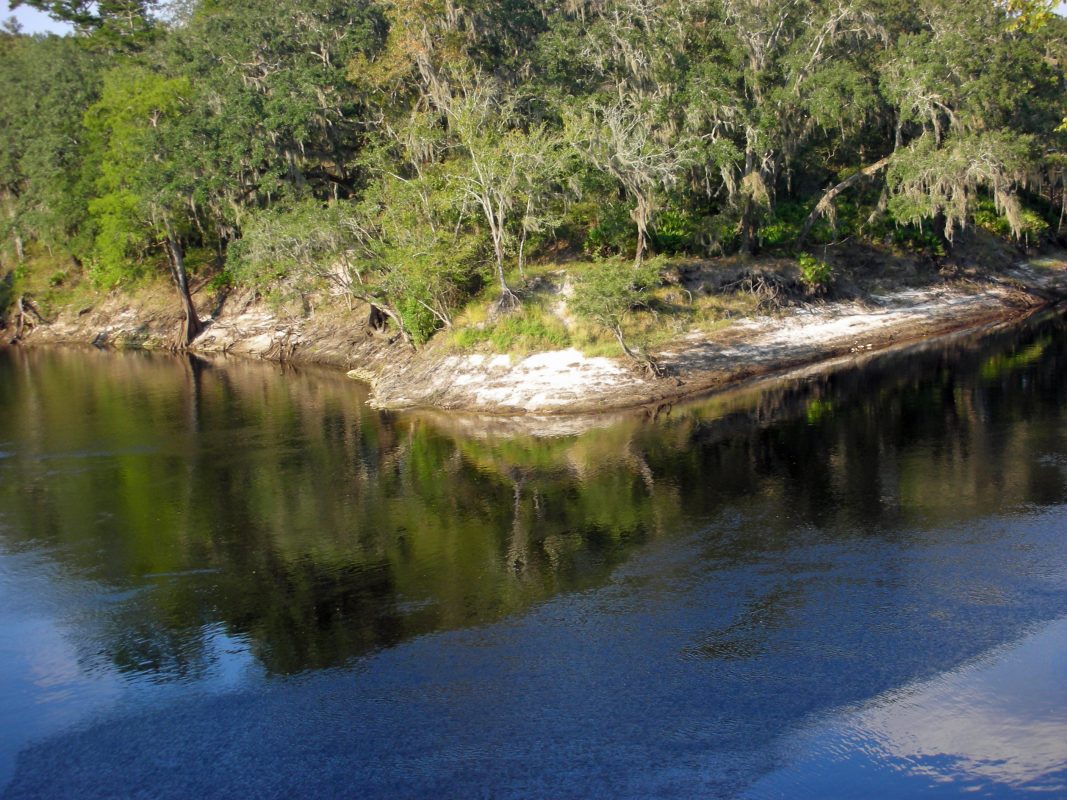A Ghost Town along the Suwannee River - Coastal Angler & The Angler ...