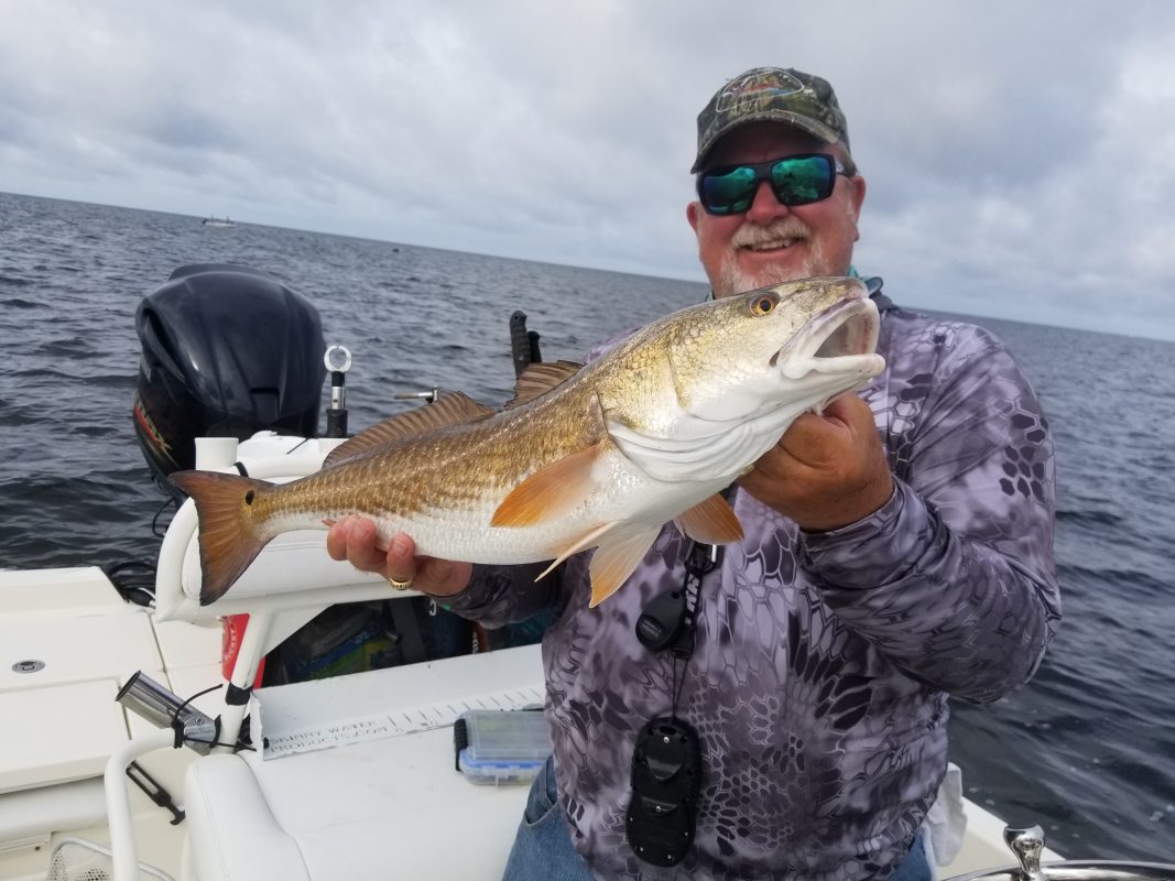 Panacea – June Fishing Report - Coastal Angler & The Angler Magazine