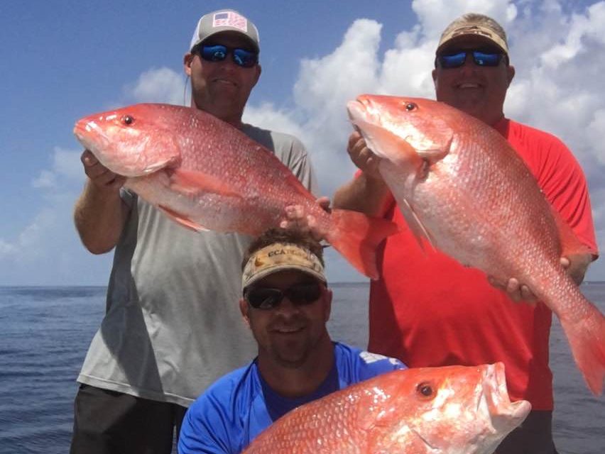 Lanark – June Fishing Report - Coastal Angler & The Angler Magazine