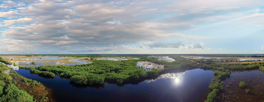 Paradise Trashed - Coastal Angler & The Angler Magazine