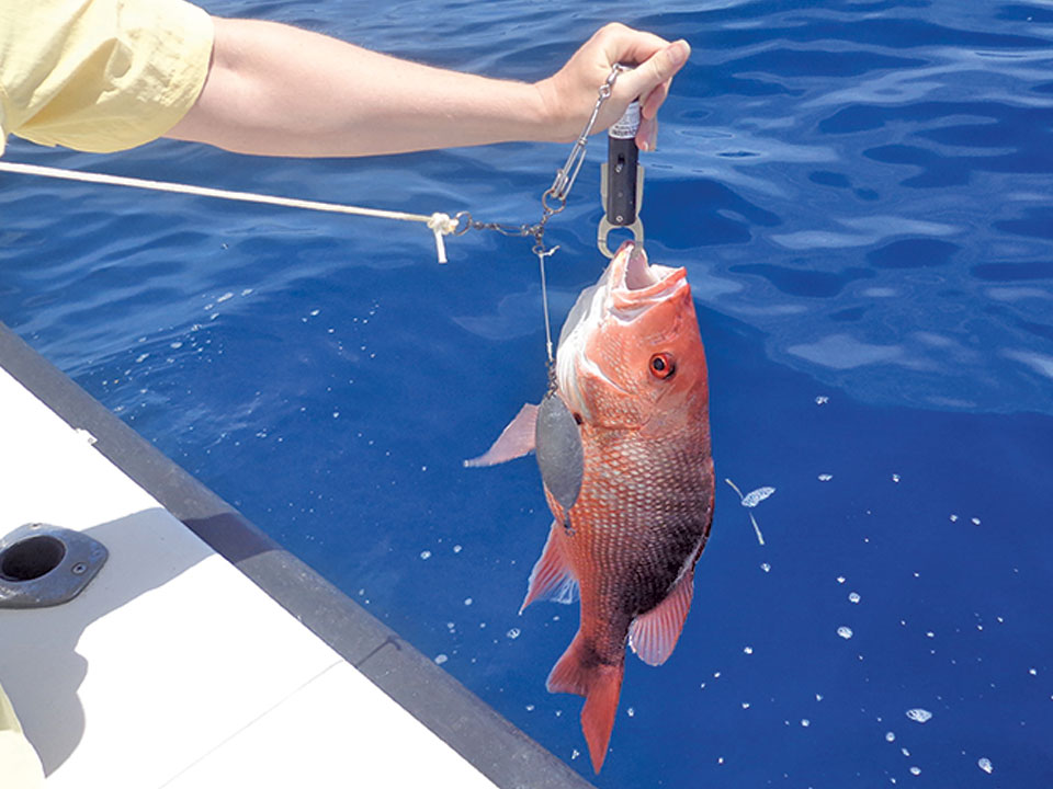 Online Tutorial Details Best Fishing Practices - Coastal Angler & The ...