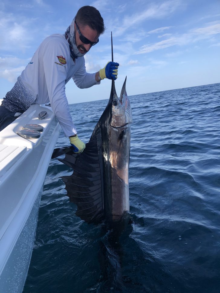 St. Lucie Summer Sailfish - Coastal Angler & The Angler Magazine