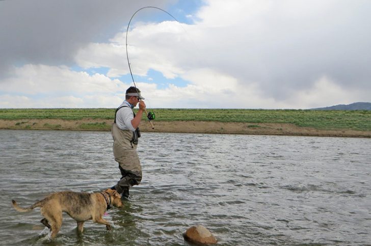 Fishing with Your Dog: Tips and Precautions - Coastal Angler & The ...