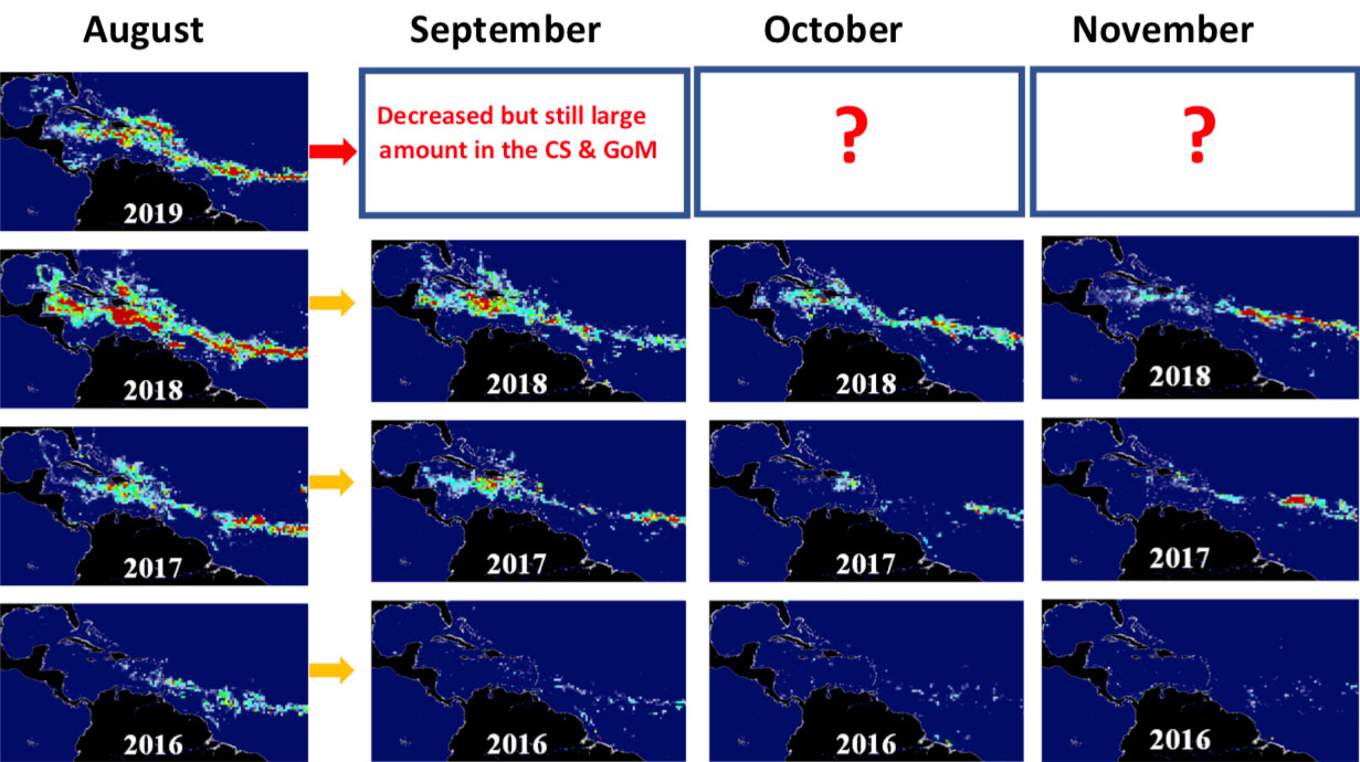 Outlook of 2019 Sargassum blooms in the Caribbean Sea and Gulf of ...