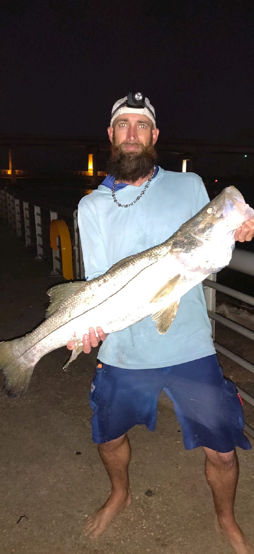 Early Morning Snook - Coastal Angler & The Angler Magazine