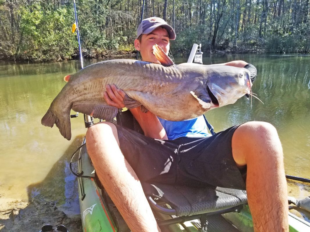 Fall Fishing for Catfish - Coastal Angler & The Angler Magazine