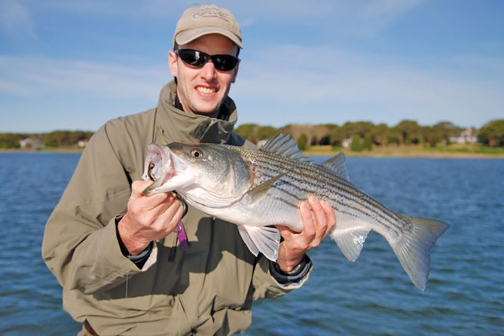 Reduction Ordered For Atlantic Striper Fishery - Coastal Angler & The ...