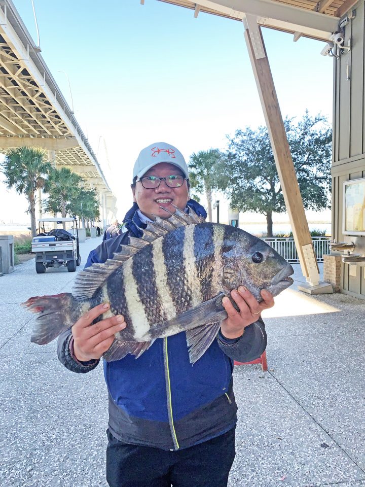 Mt Pleasant Pier January Fishing Forecast - Coastal Angler & The Angler ...
