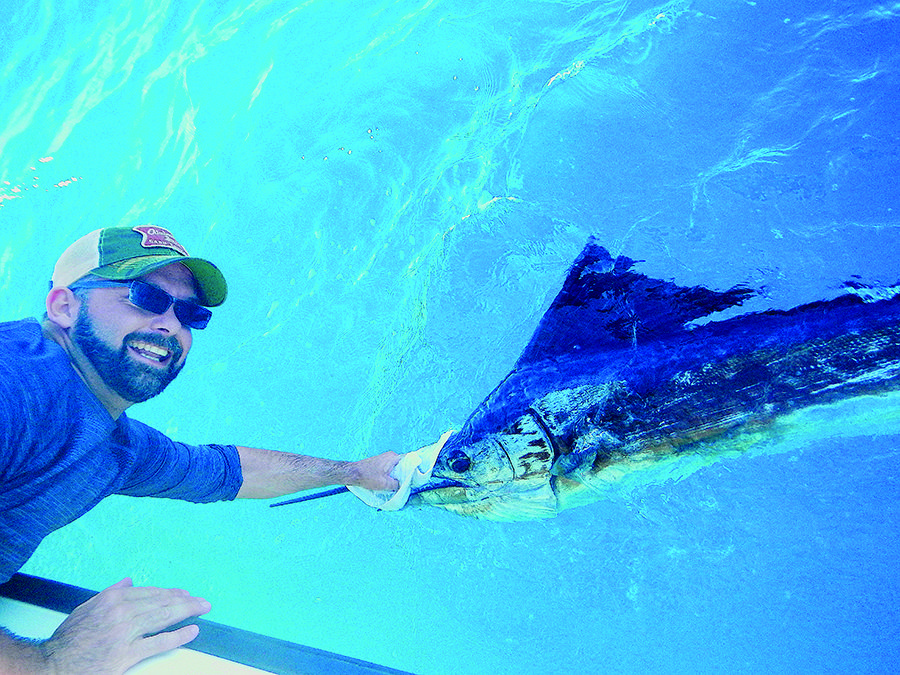 James Swanwick caught this 65-inch sailfish off Palm Beach using a live ...