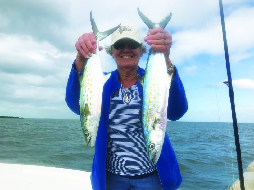 GREAT FEBRUARY FISHING OPPORTUNITIES - Coastal Angler & The Angler Magazine