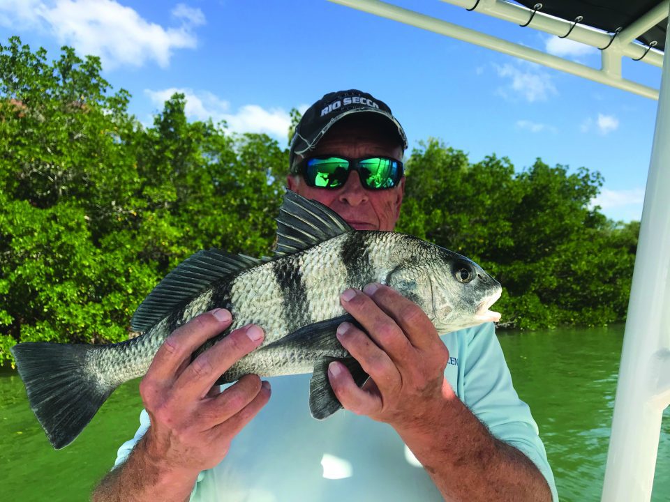 GREAT FEBRUARY FISHING OPPORTUNITIES - Coastal Angler & The Angler Magazine