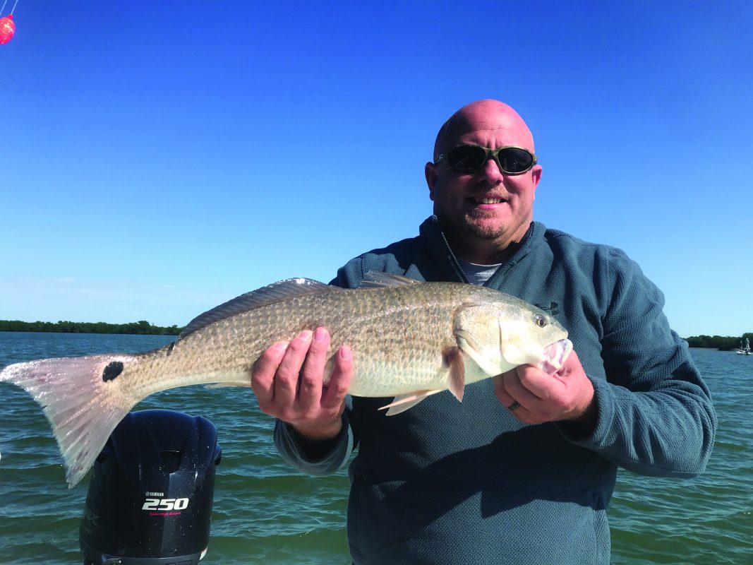 GREAT FEBRUARY FISHING OPPORTUNITIES - Coastal Angler & The Angler Magazine