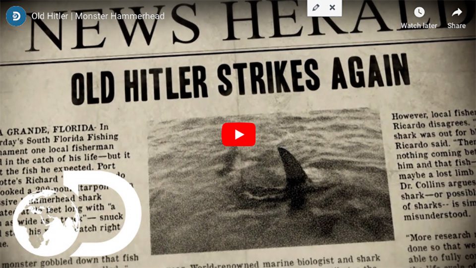 The Legend of Old Hitler (the Hammerhead) on the Gulf Coast - Coastal ...