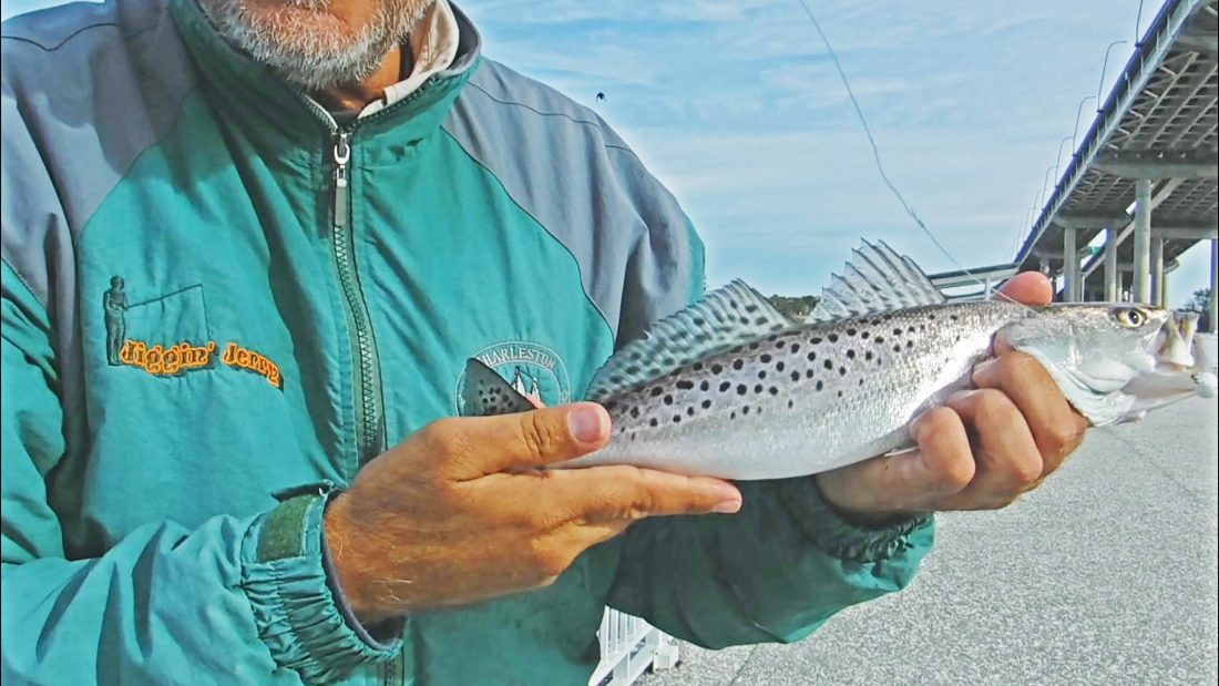 Targeting Winter Trout - Coastal Angler & The Angler Magazine