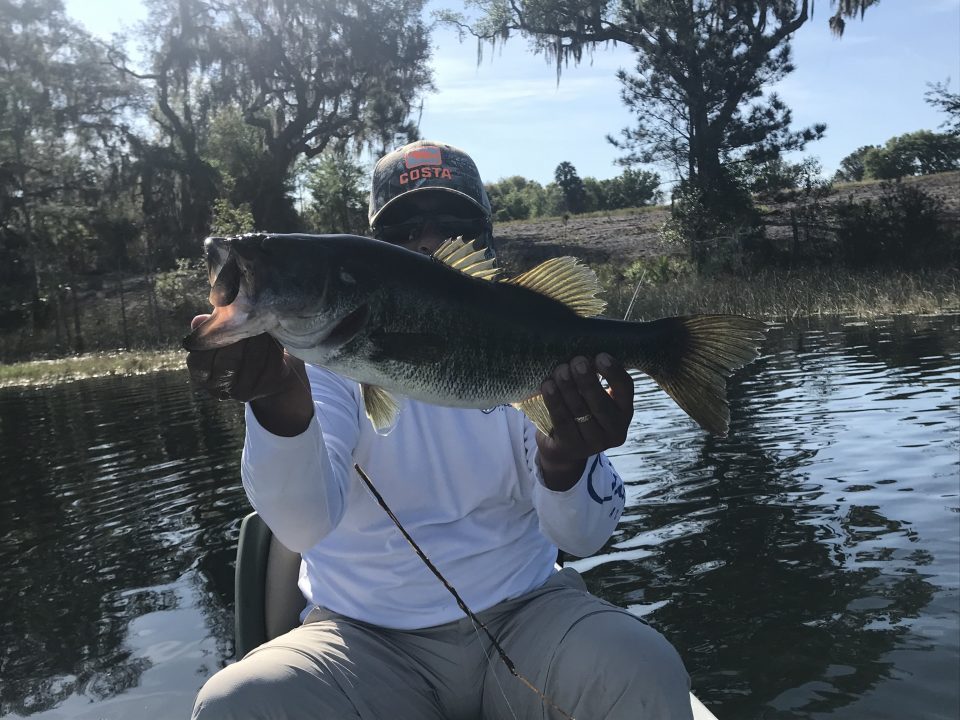 BASS - Coastal Angler & The Angler Magazine