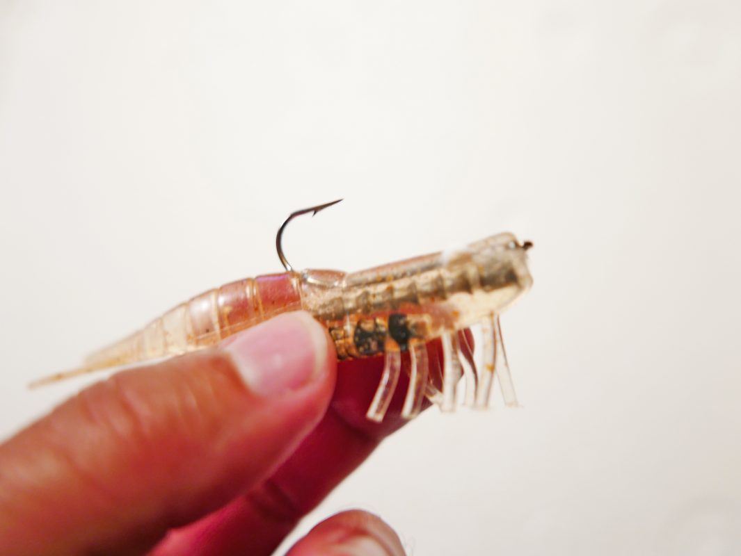 Want to Catch More Fish?! – Jiggin’ Jerry’s D.O.A. Shrimp Makeover ...