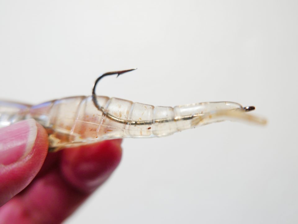 Want to Catch More Fish?! – Jiggin’ Jerry’s D.O.A. Shrimp Makeover ...