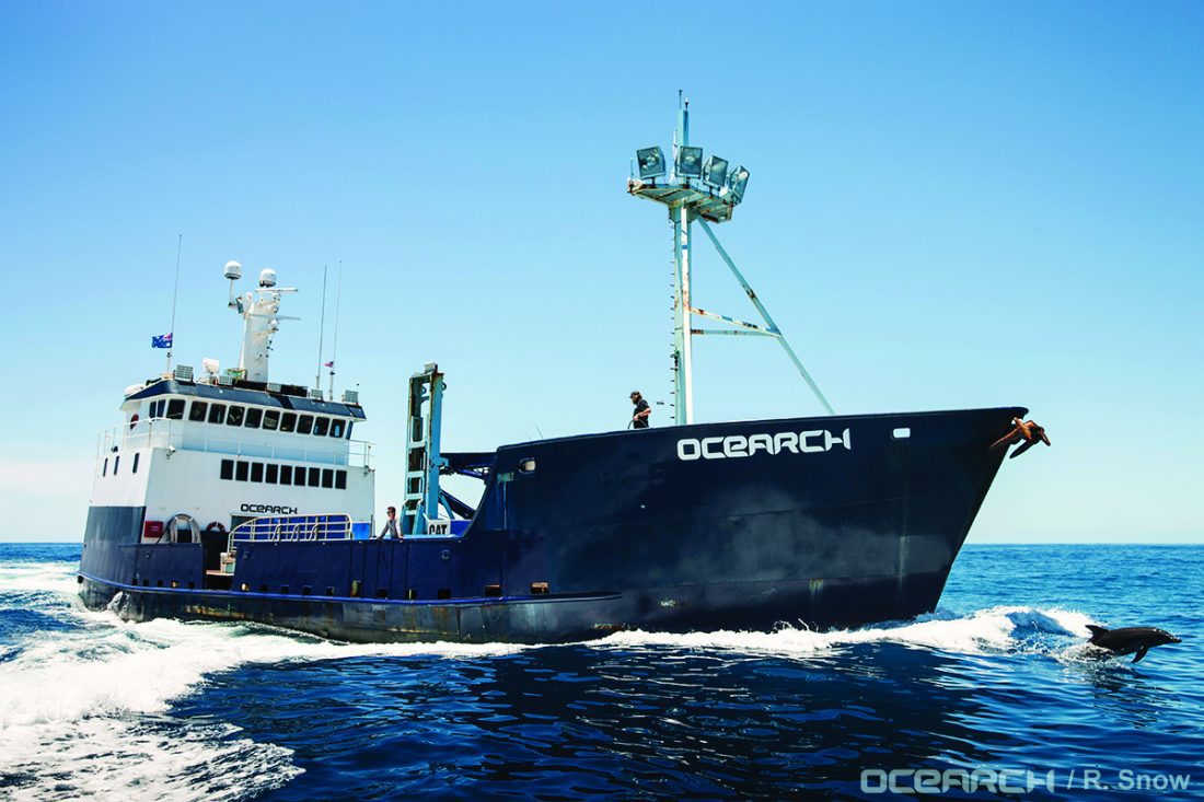 Ocean Family Games - Coastal Angler & The Angler Magazine