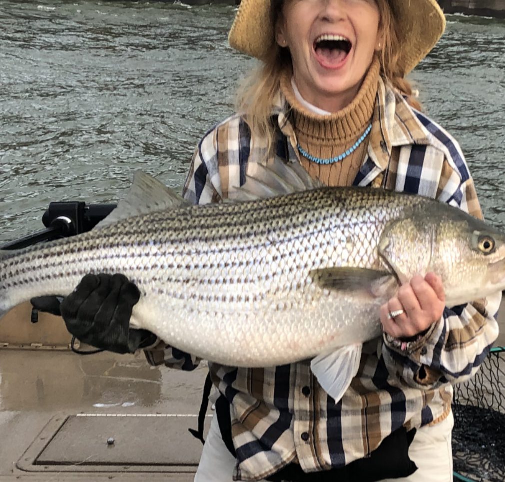 Striper fishing with Bo Rice. - Coastal Angler & The Angler Magazine