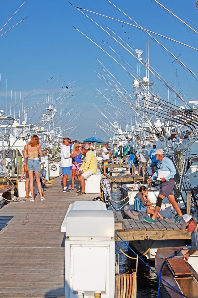 South Carolina Governors Cup Billfishing Series May Report By Cameron ...