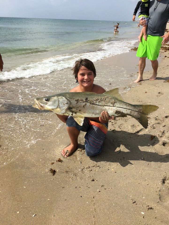 Summer fun - Coastal Angler & The Angler Magazine