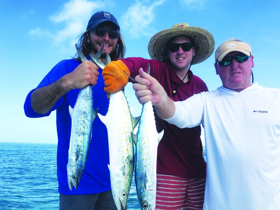 INSHORE FISHING - Coastal Angler & The Angler Magazine