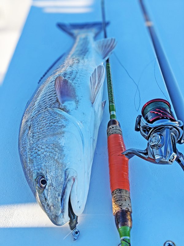 Artificial Intelligence ~ Tools of the Trade By David Fladd - Coastal ...