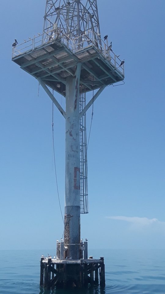 “The Magnificent 7 Towers” Offshore from SW Florida - Coastal Angler ...