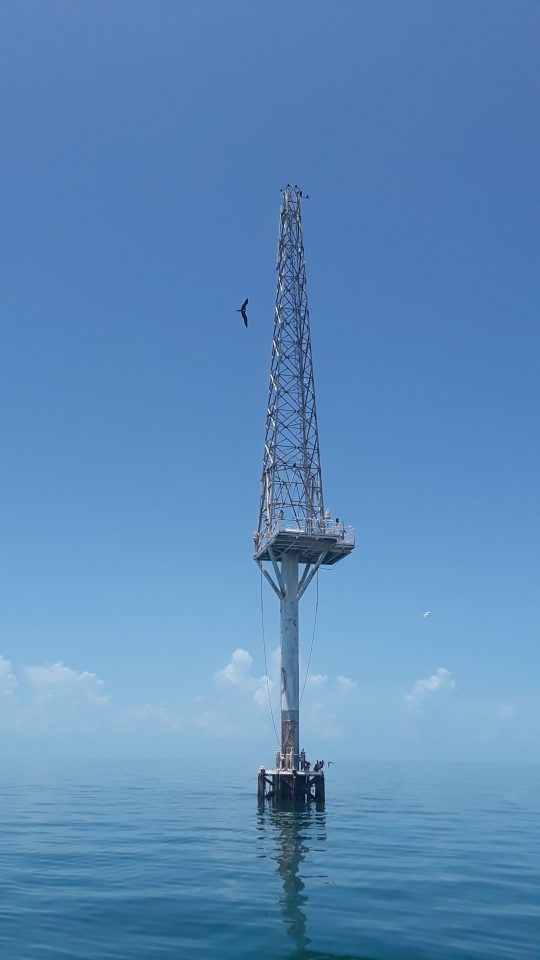 “The Magnificent 7 Towers” Offshore from SW Florida - Coastal Angler ...
