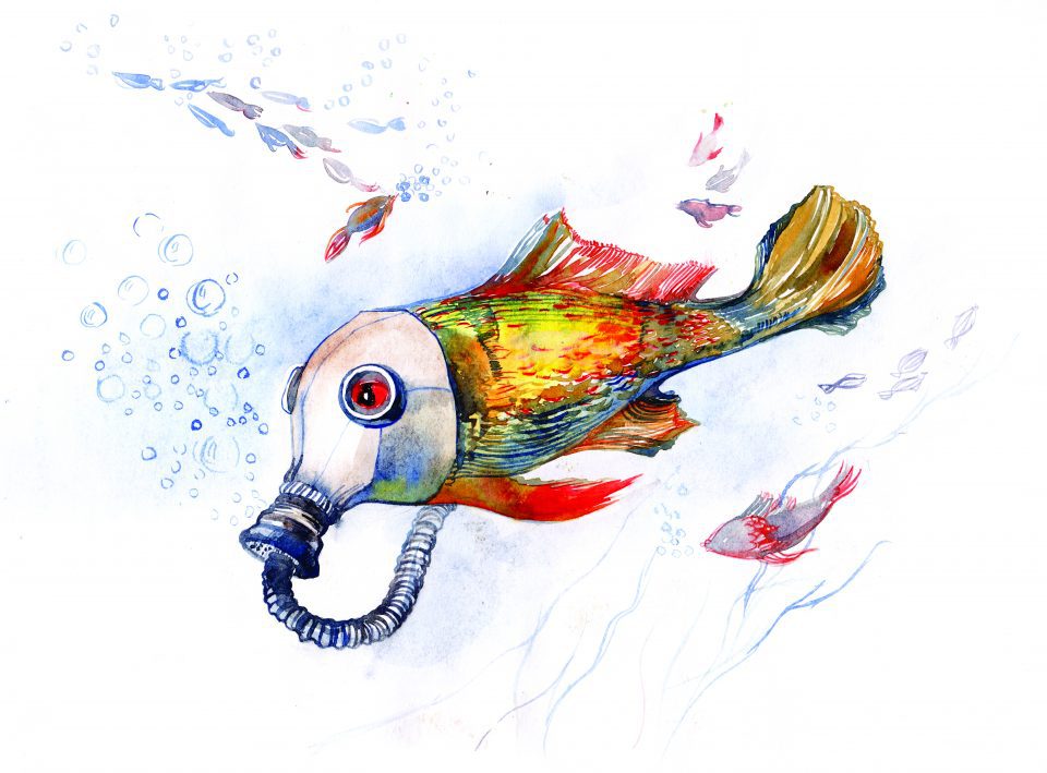 Keeping Calm in the “Year of the Leper.” - Coastal Angler & The Angler ...