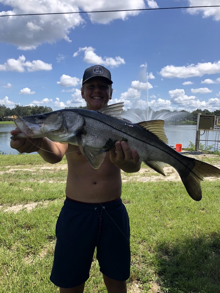 31.5 inch snook on live bait! - Coastal Angler & The Angler Magazine
