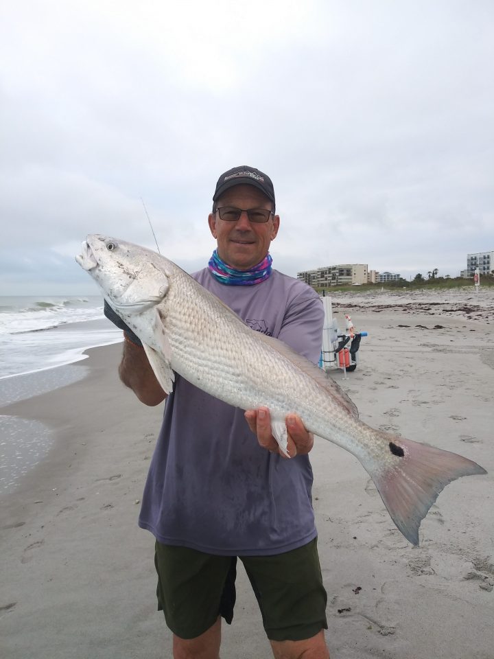 Cocoa Beach Red Fish - Coastal Angler & The Angler Magazine