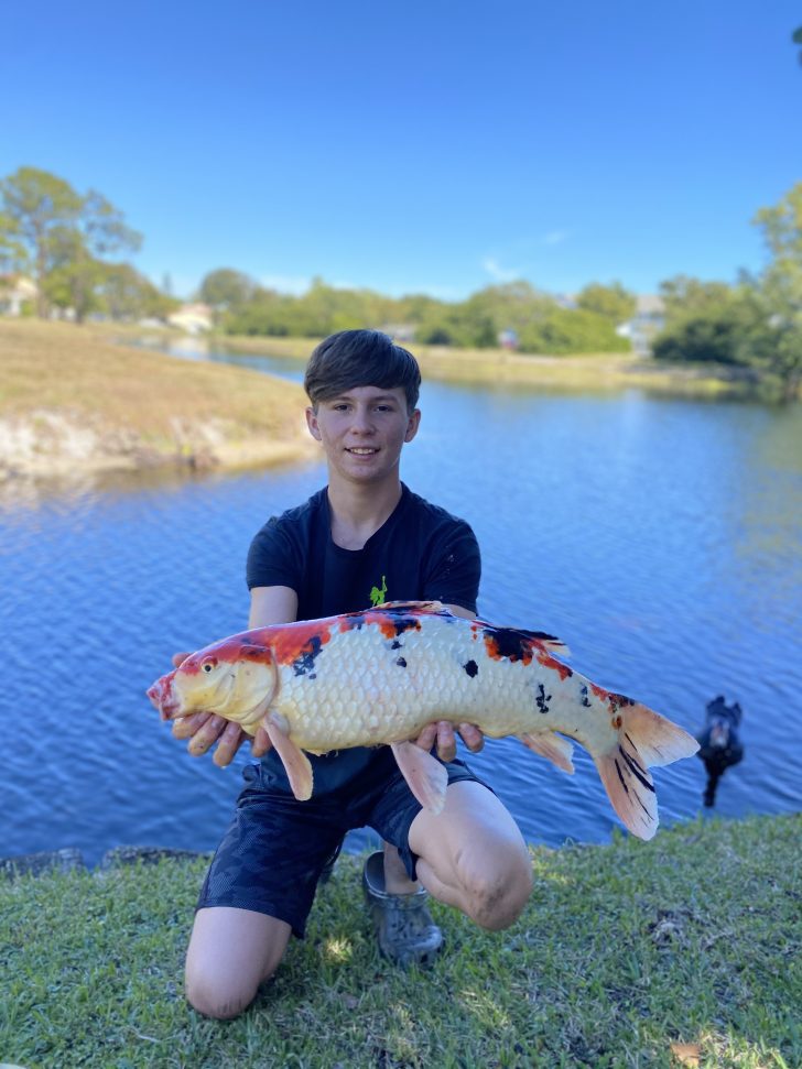 Giant koy fish - Coastal Angler & The Angler Magazine